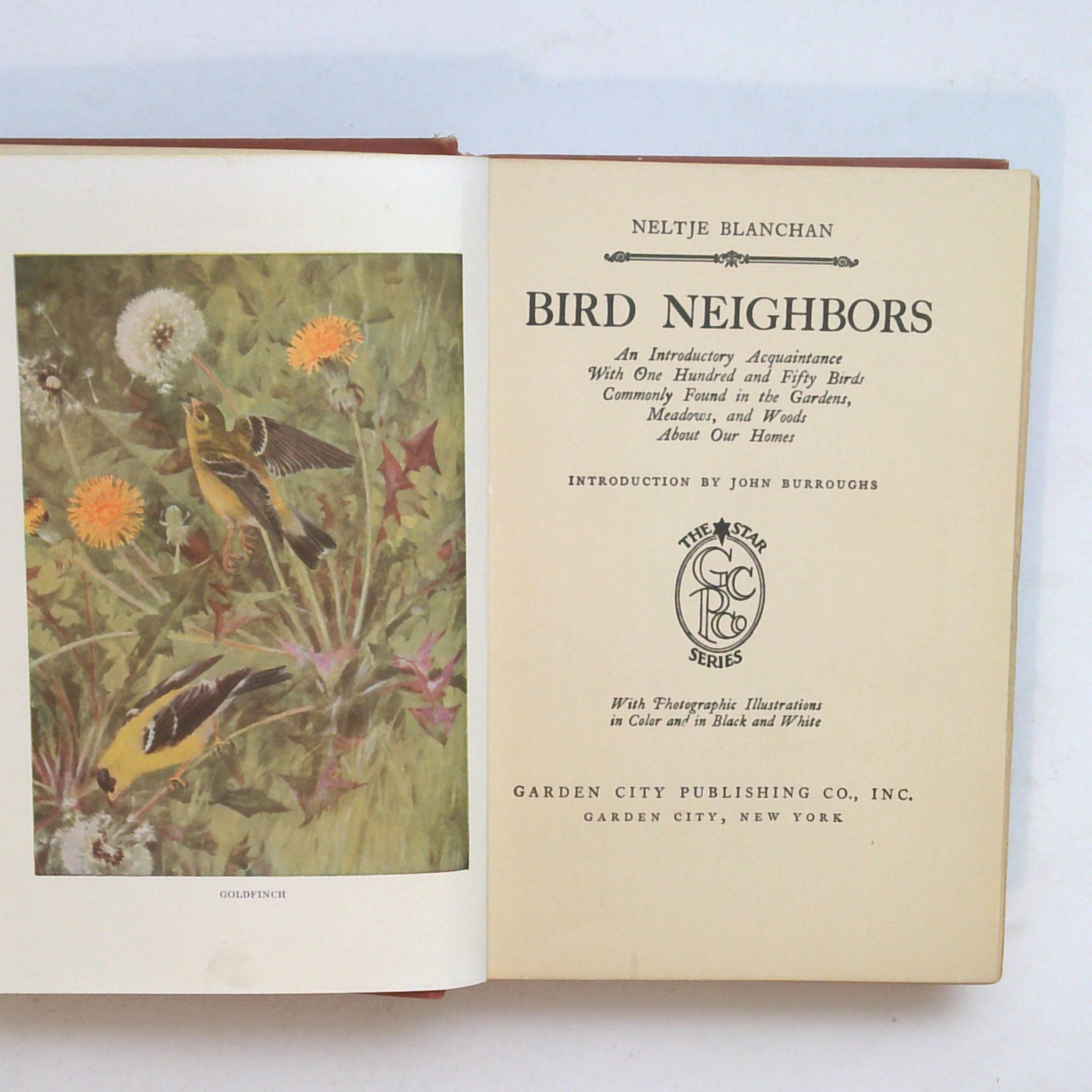Vintage Book: Bird Neighbors by Neltje Blanchan 1922 1123 - Etsy