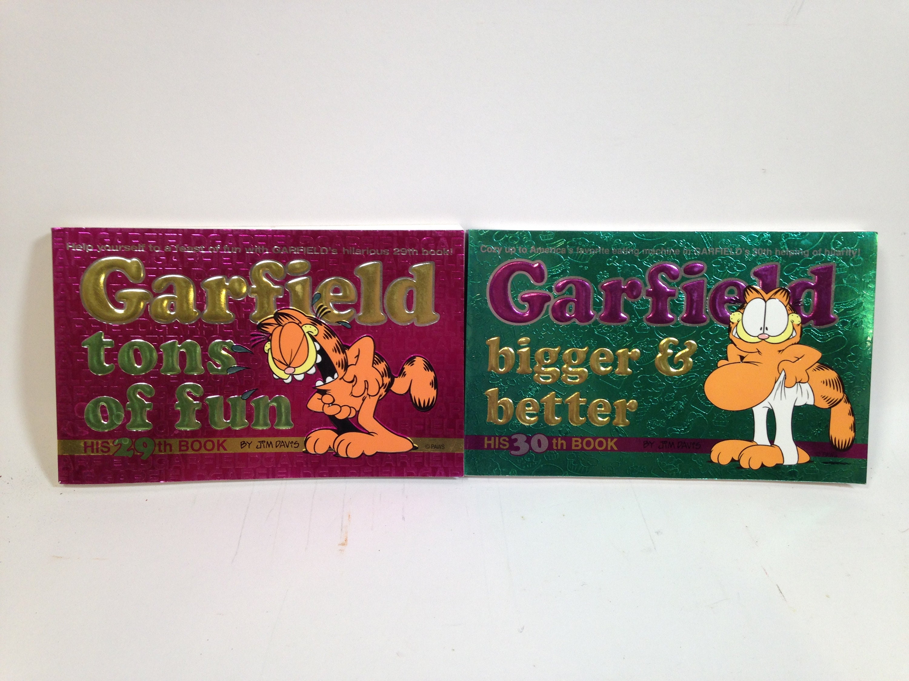 2 Garfield the Cat Cartoon Books Tons of Fun and Bigger and - Etsy