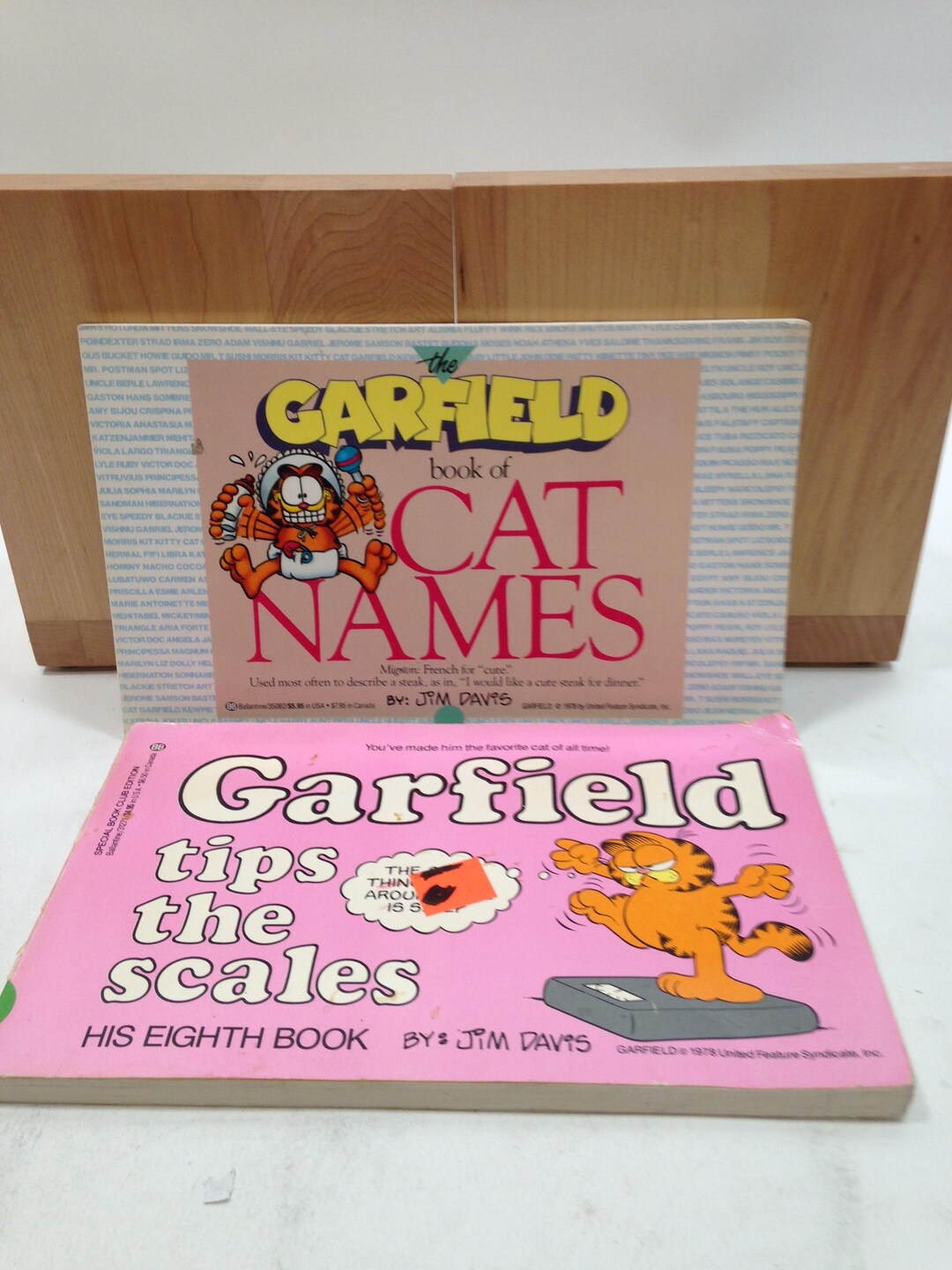 2 Garfield Books by Jim Davis, Garfield Tips the Scale & the Garfield ...