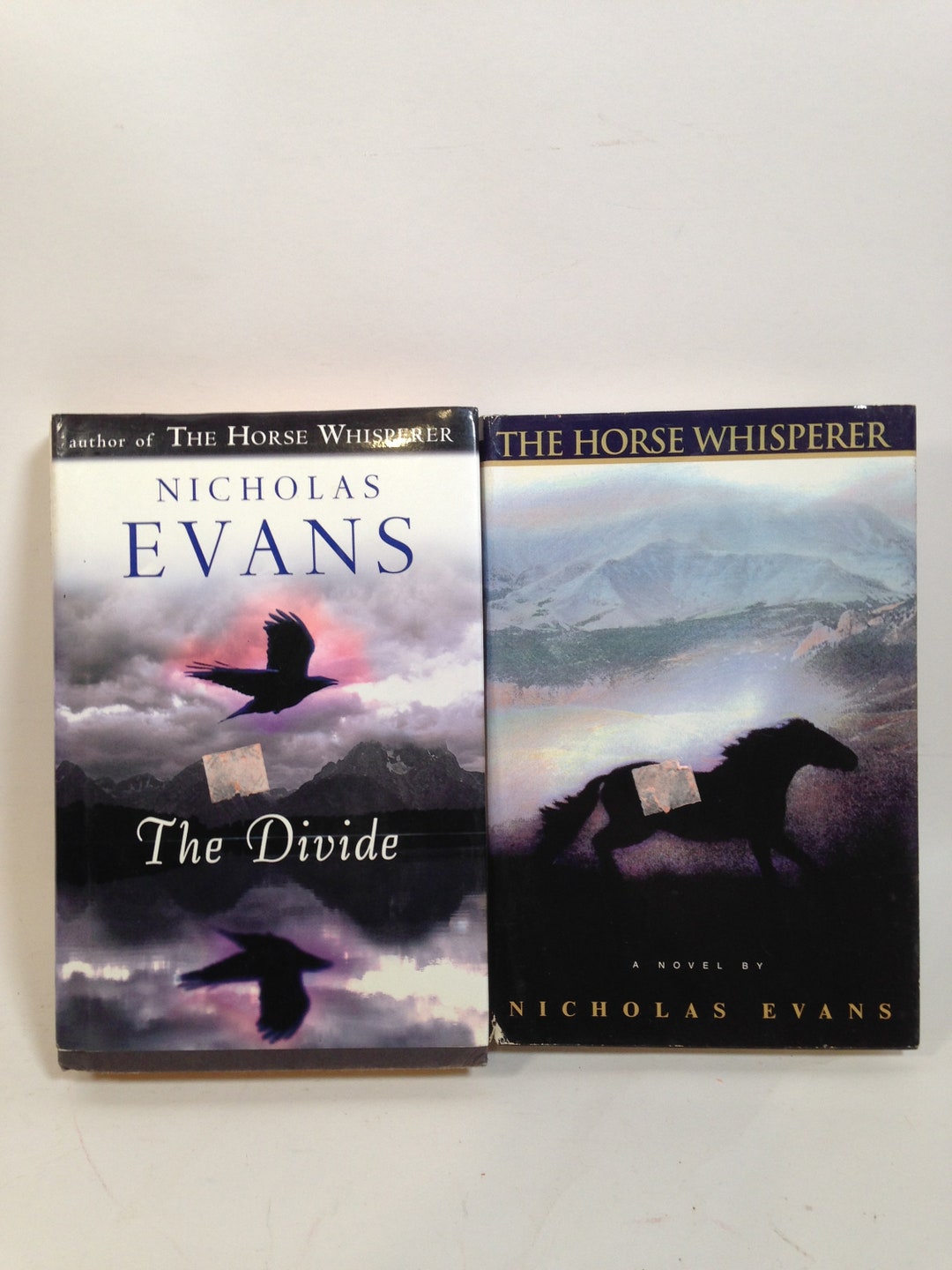 2 Books by Nicholas Evans, the Horse Whisperer & the Divide 0624 - Etsy