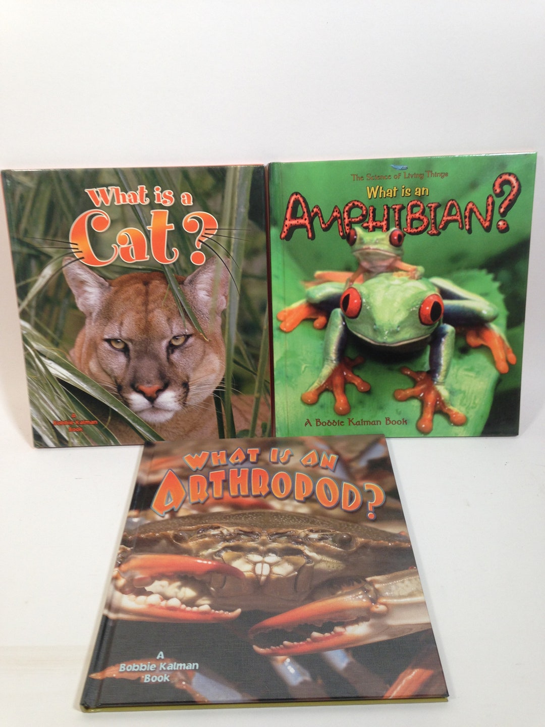 What is a ....? 3 Children's Animal & Science Books 0424 - Etsy