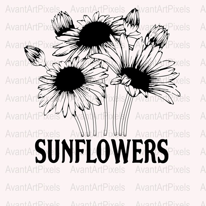 Sunflower 3 High Resolution 300 Dpi Png Digital Download Cricut ...