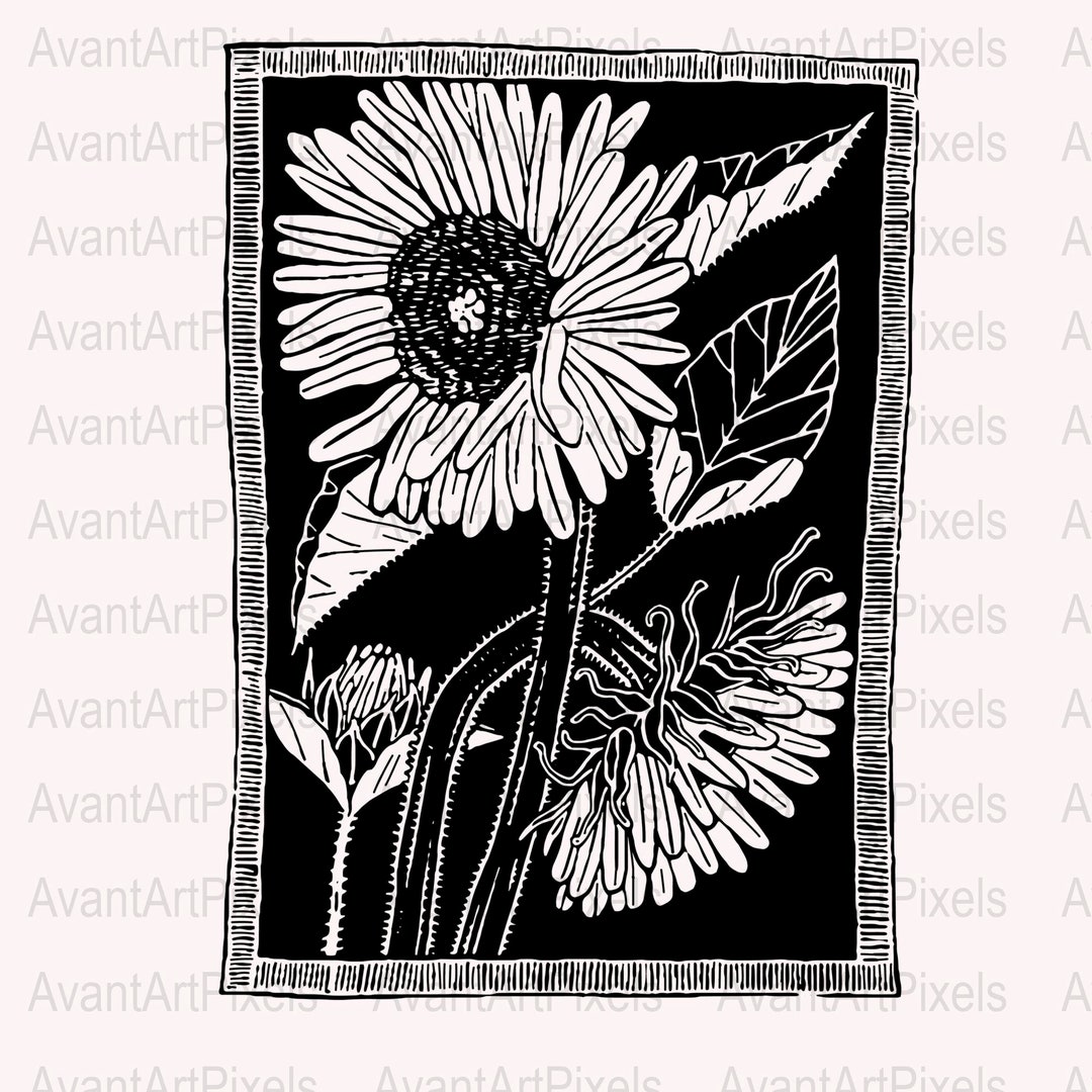 Sunflower 1 High Resolution 300 Dpi Png Digital Download Cricut ...