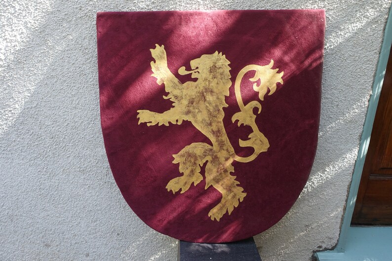 GOT Shield Costume Party Decoration Medieval Game of - Etsy