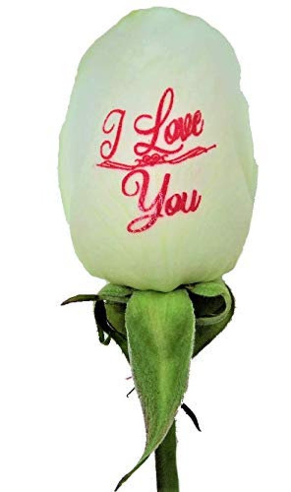 White Rose Love You