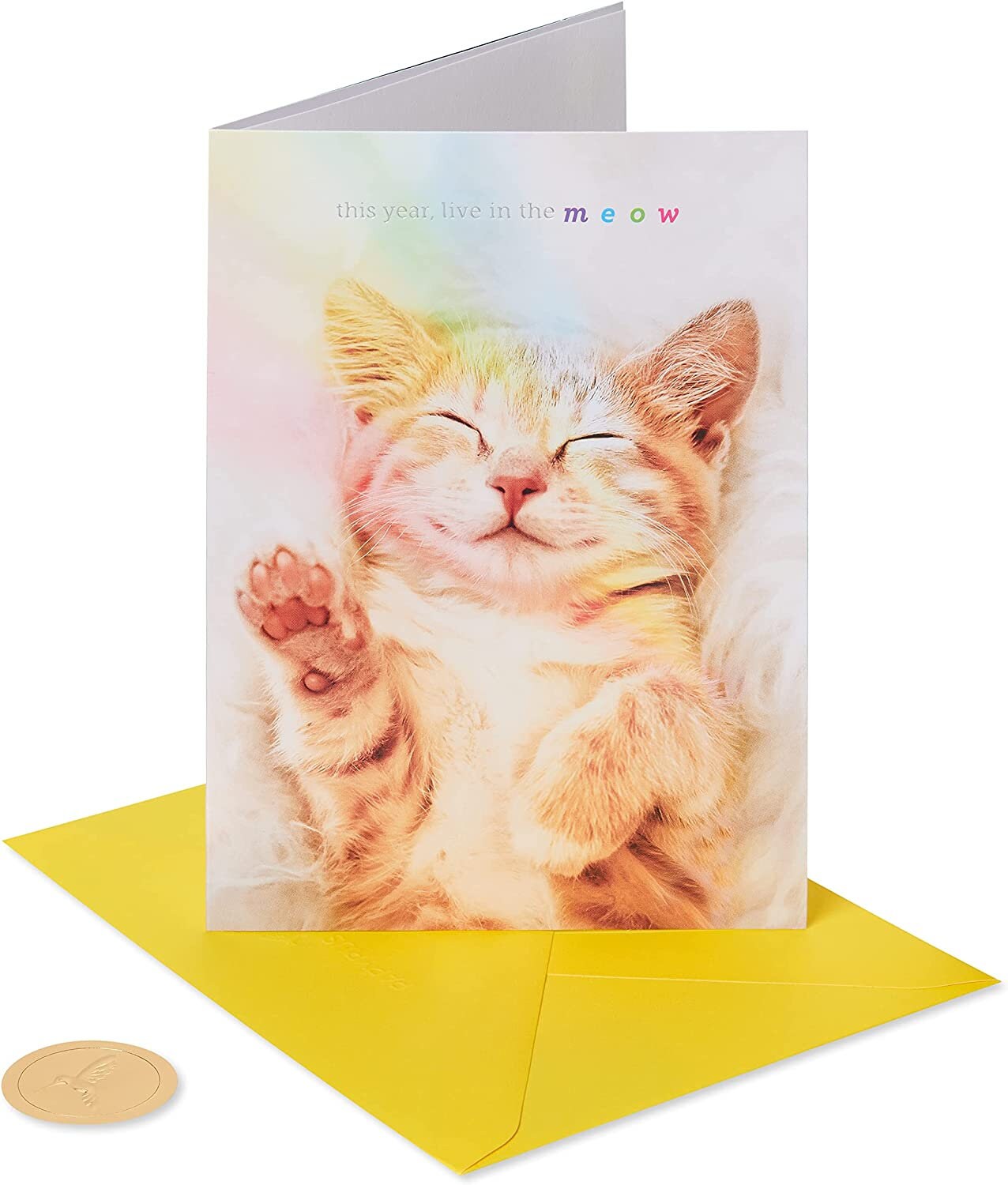 Papyrus Cat Birthday Card happy Birthday - Etsy