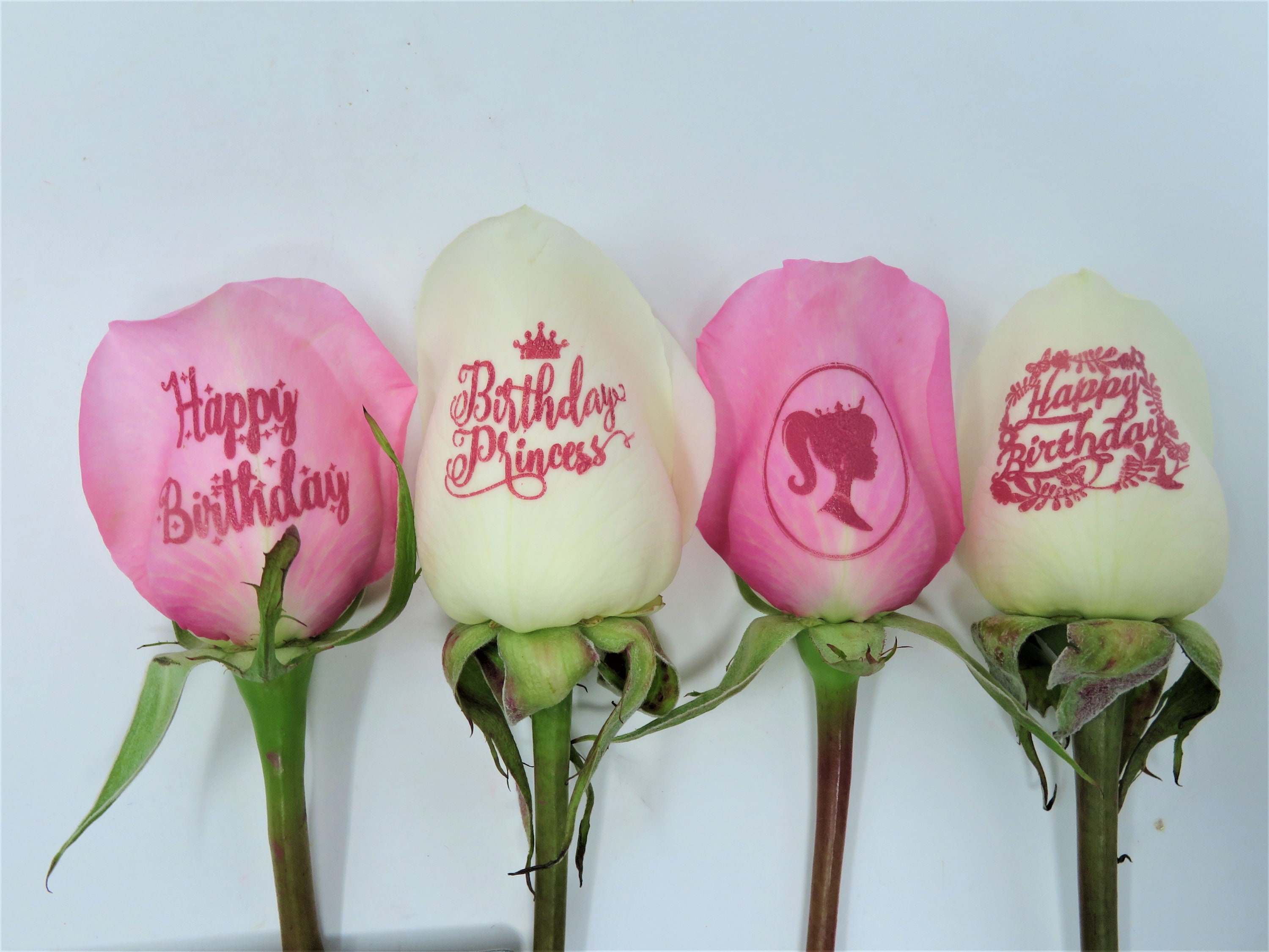 6 Pink/white Roses Birthday Princess in Pink Lettering W/ Pink Bow and ...