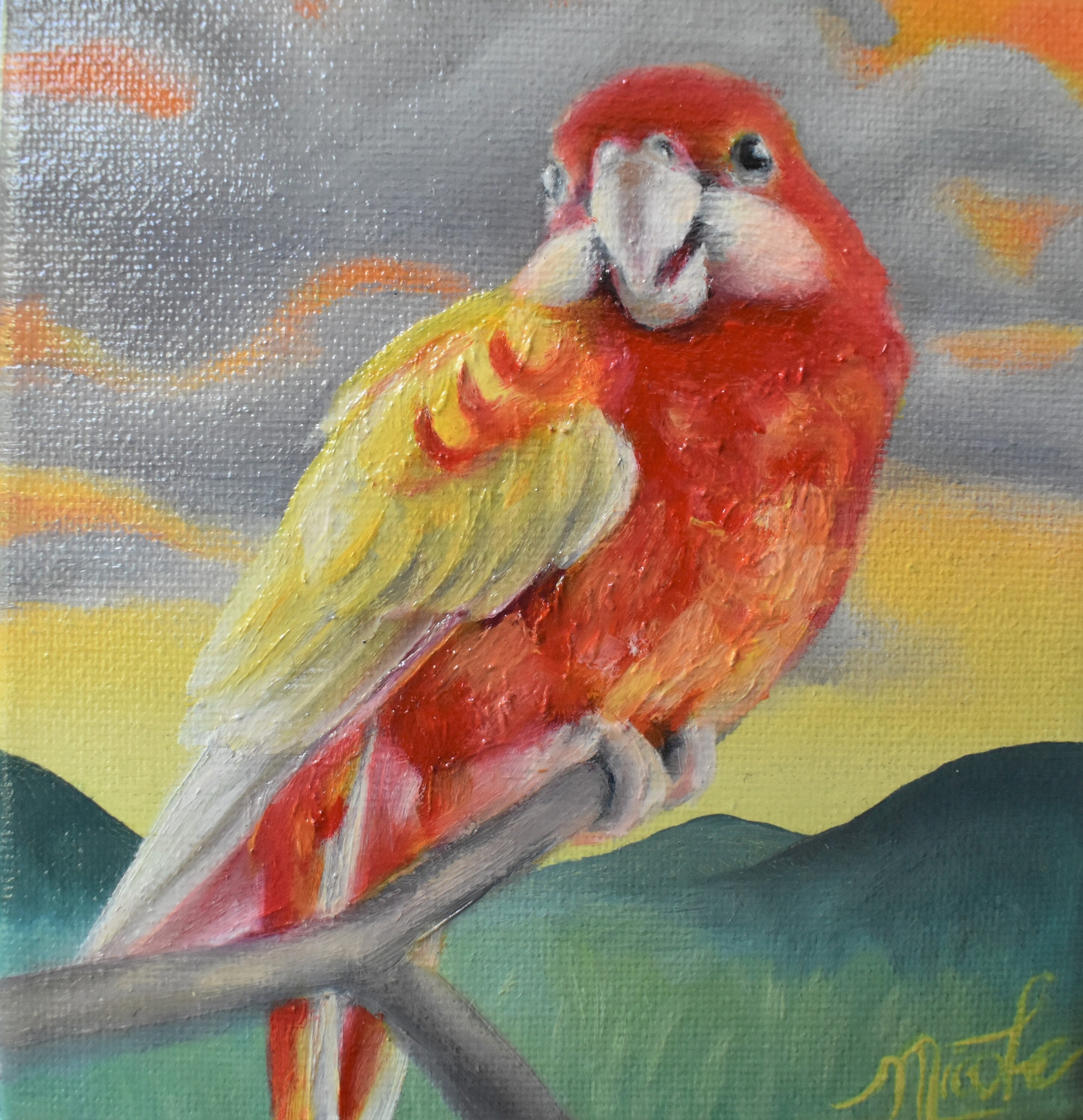 Lutino Rosella