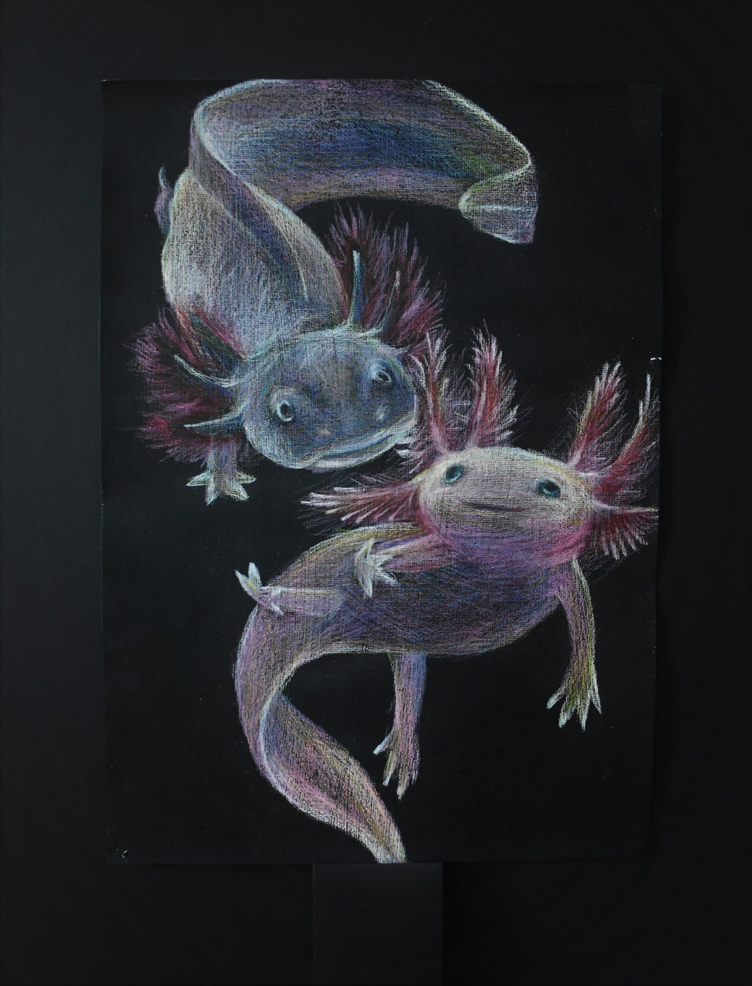 Axolotls Original Drawing, Coloured Pencil Artwork, Authentic ...