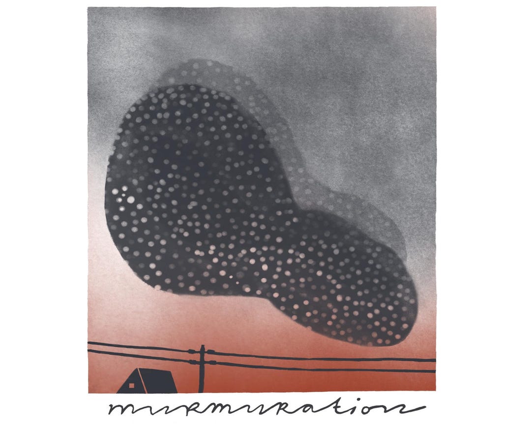 Murmuration Art Print (A4) - Etsy