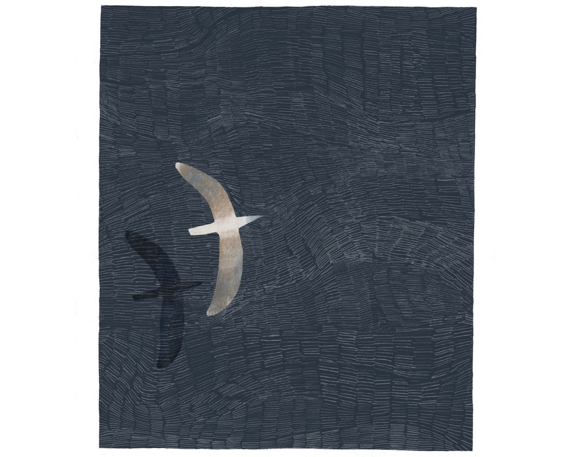 Albatross Art Print (A4) - Etsy