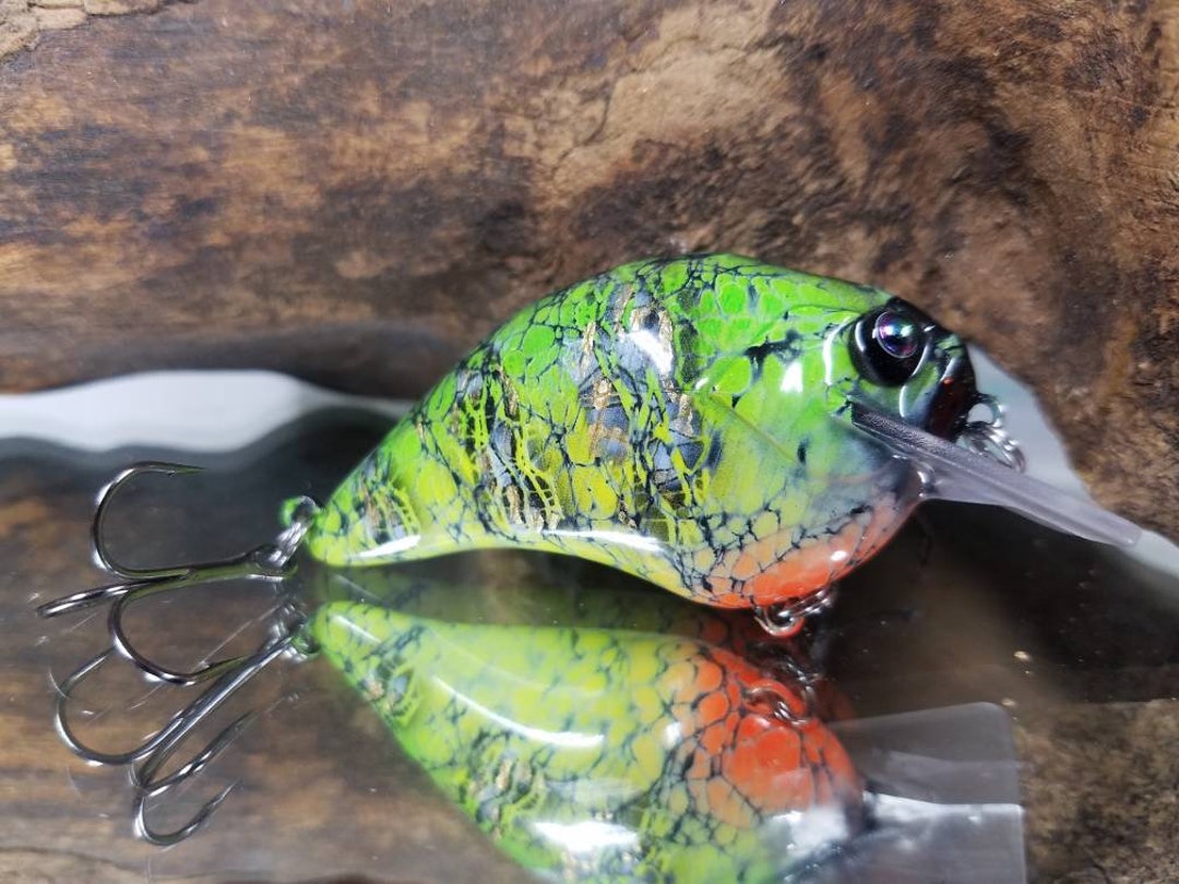 Shallow Diving Fishing Lure - Etsy