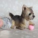 Miniature Yorkshire Terrier, Miniature Toy, Miniature Dog, OOAK Toy ...