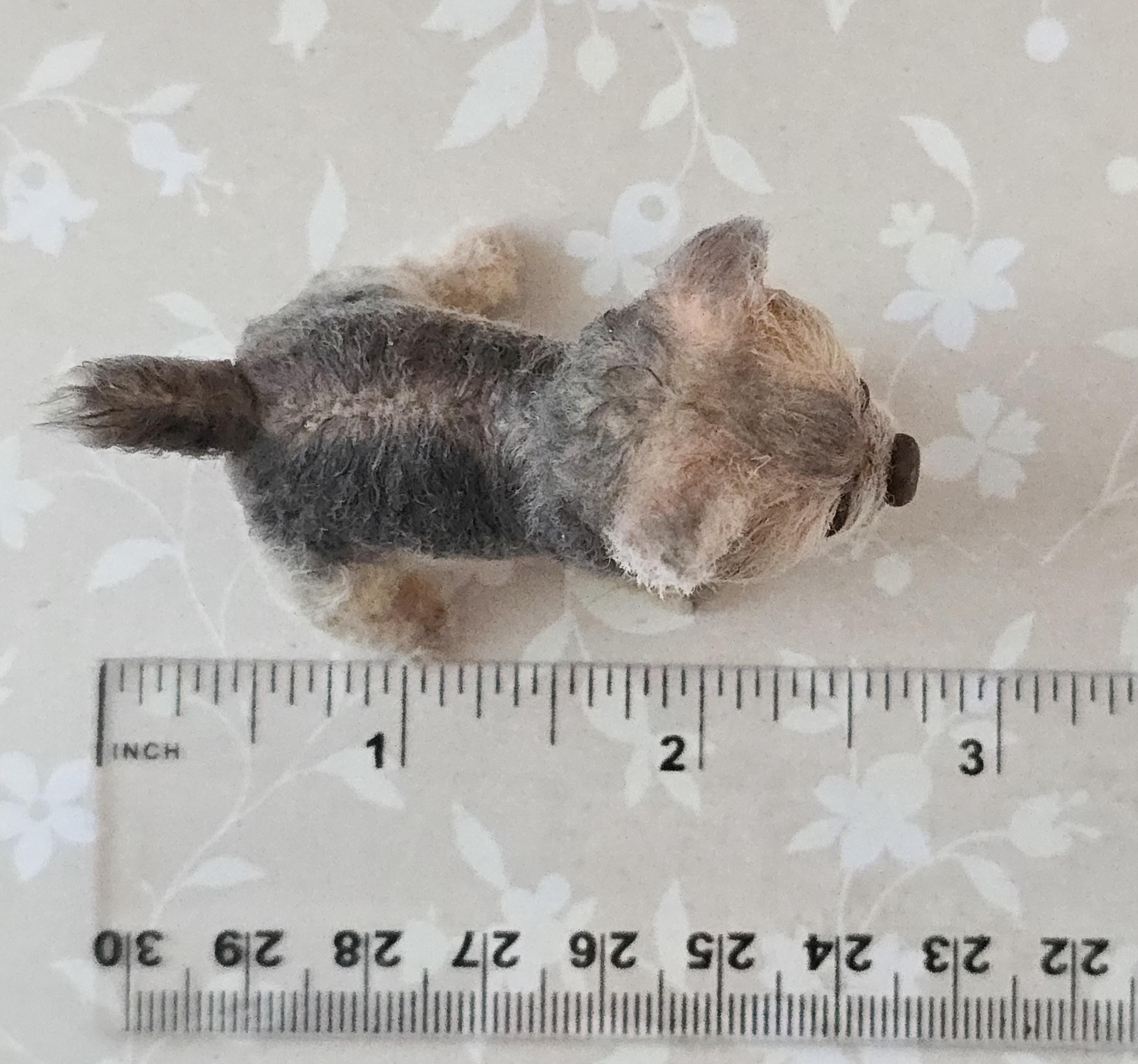 Miniature Yorkshire Terrier, Miniature Toy, Miniature Dog, OOAK Toy ...