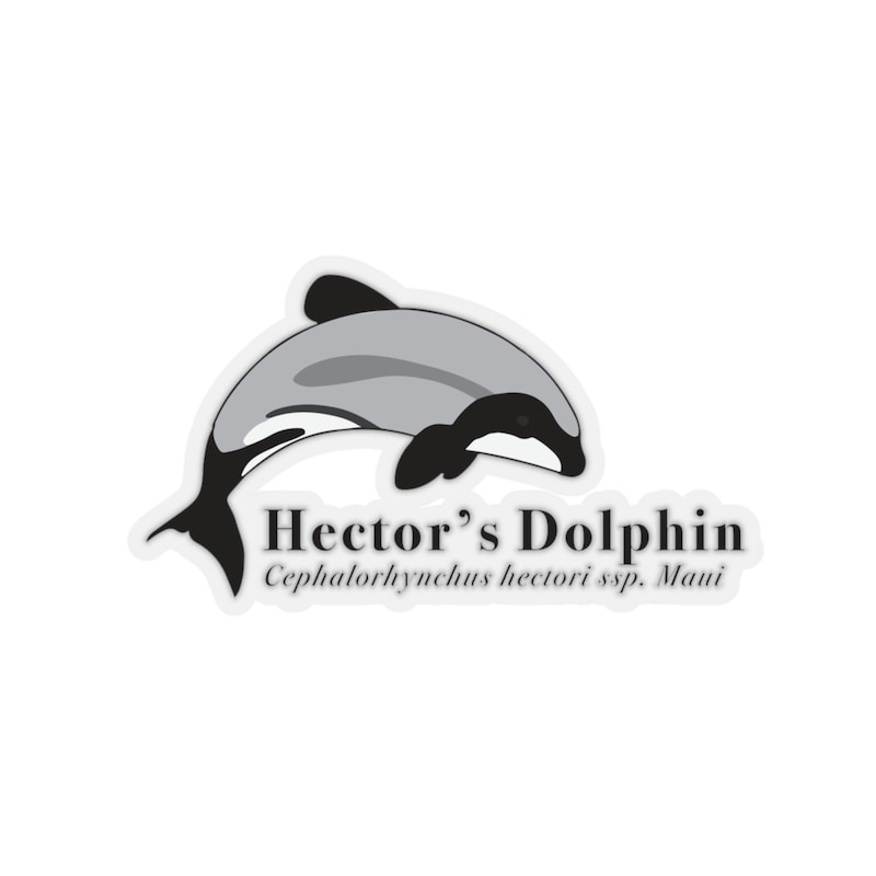 Dolphin Sticker - Etsy