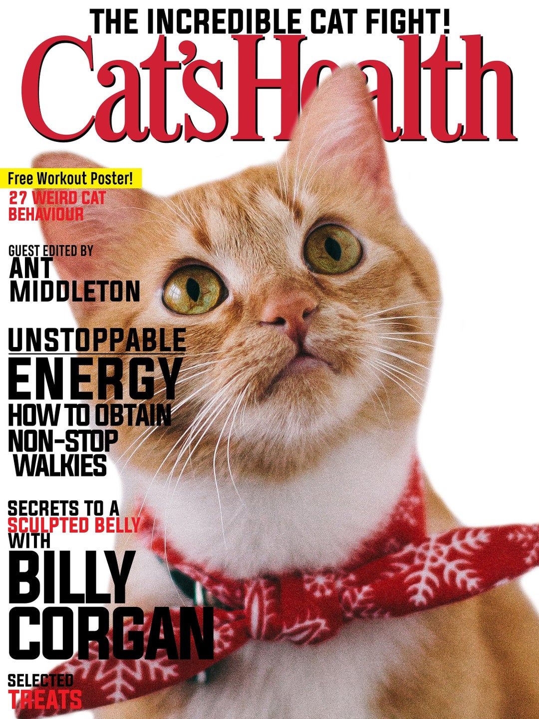 Personalized Funny Magazine Cover of Cat Portrait on Canvas - Etsy