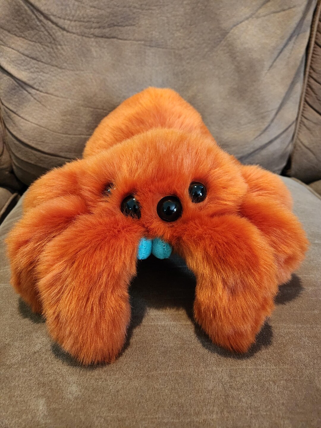 Weighted Jumping Spider Plush - Etsy