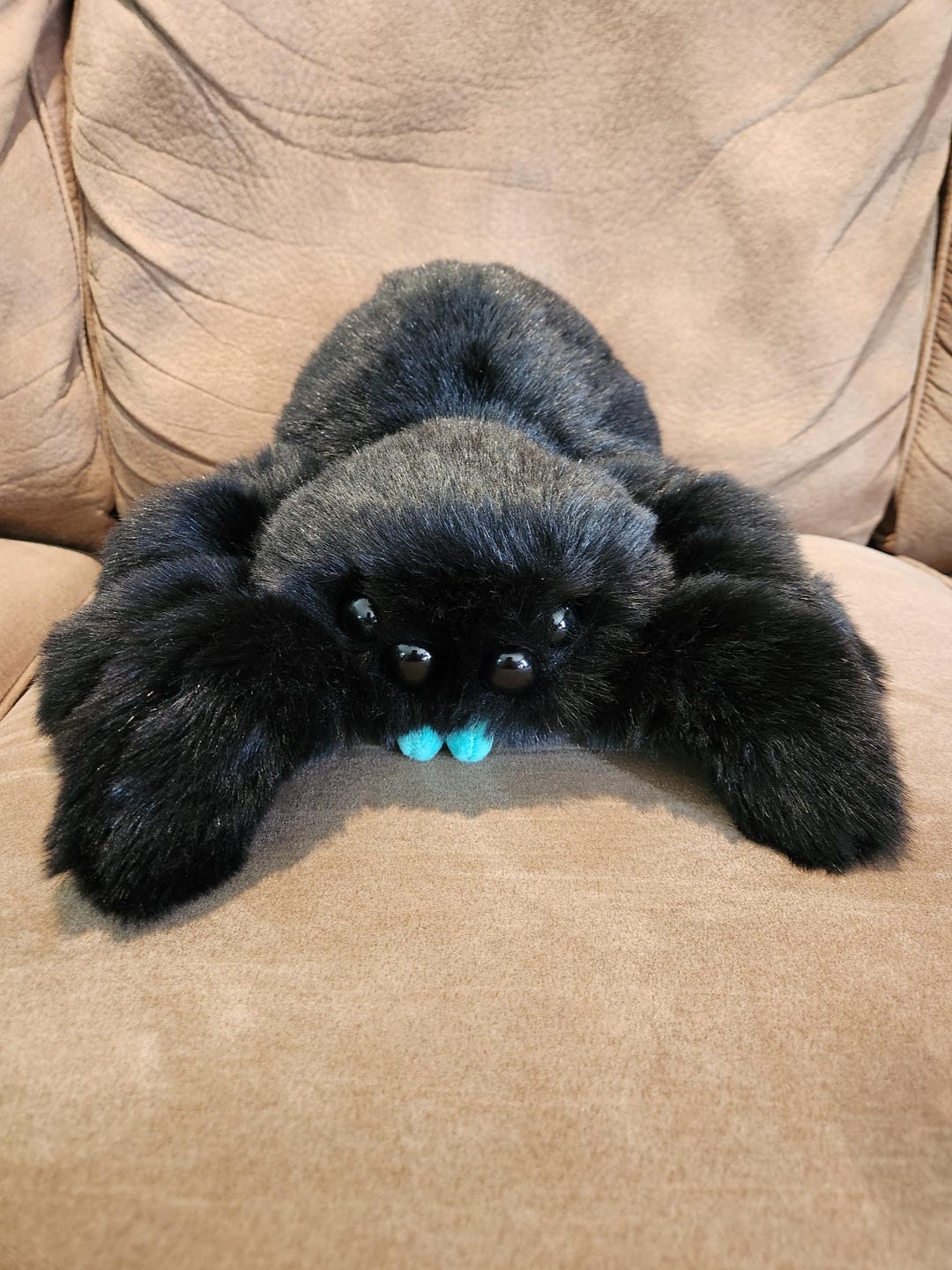 Weighted Jumping Spider Plush - Etsy