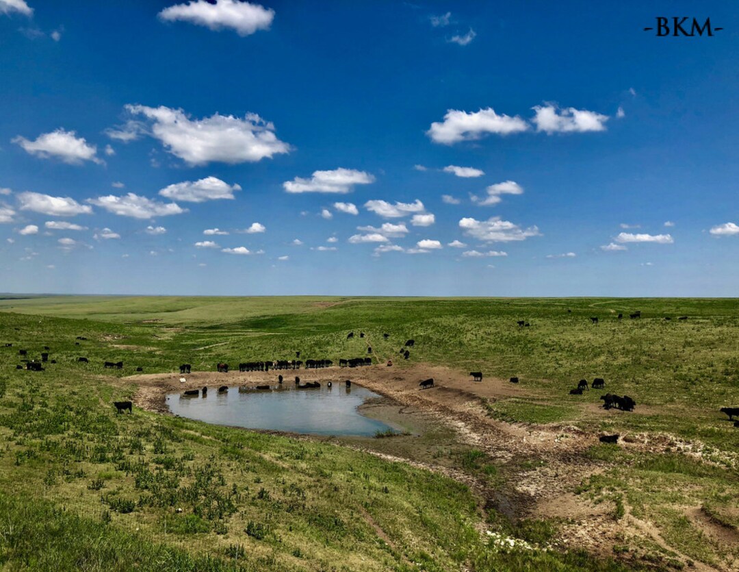 Serene Kansas Landscape Photography - Etsy