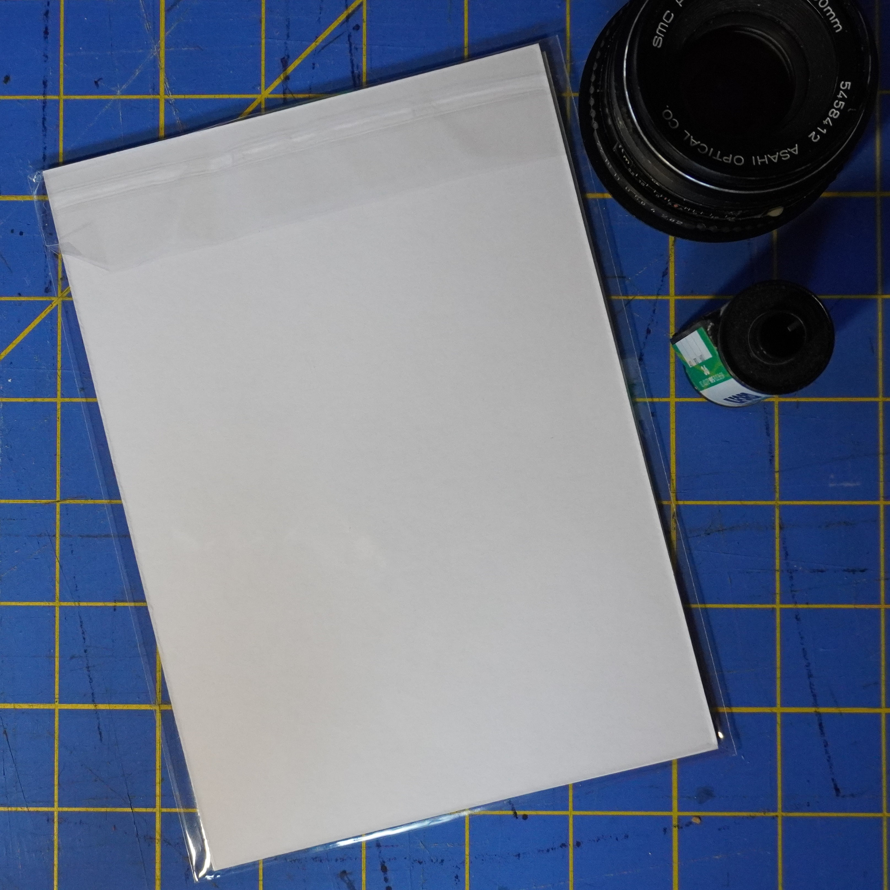 Peter Steele Type O Negative Concert Photography - Etsy