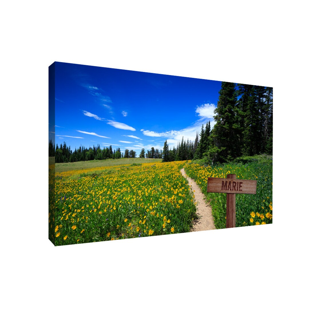 Path & Wild Flowers Personalized Canvas, Perfect for Valentines ...