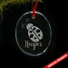 Ladybug Personalized Laser Engraved Glass Ornament - Etsy