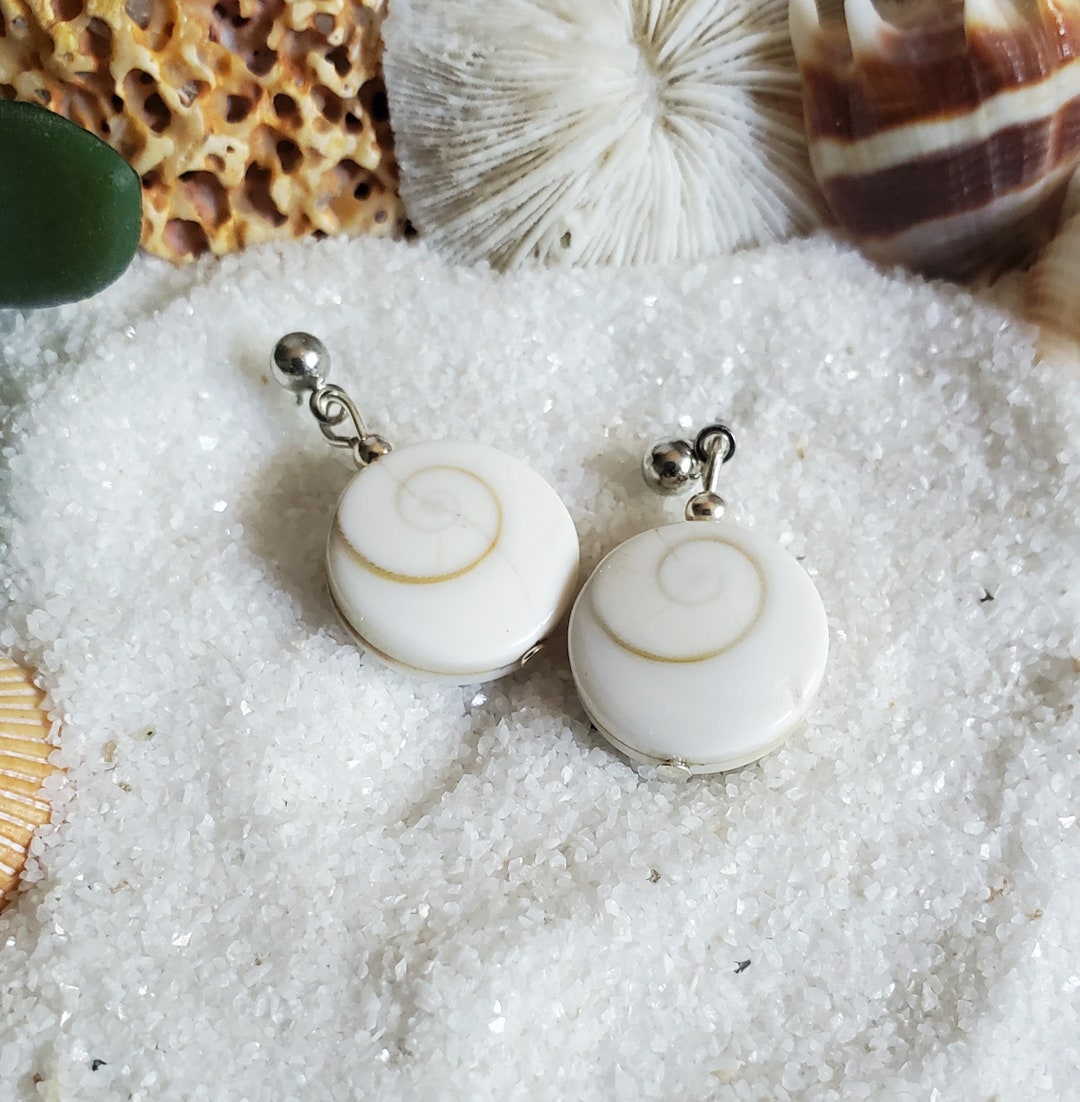 Pacific Shiva Eye Pacific Shiva Eye Beach Ocean Shiva Shell Small Eye ...