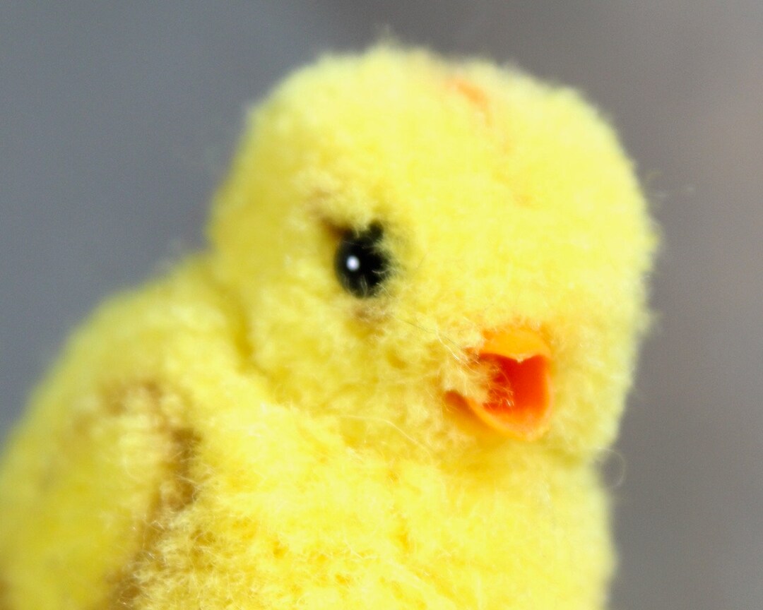 Rare! Vintage Steiff Chick | 2" Woolen Baby Chick With Original Steiff ...