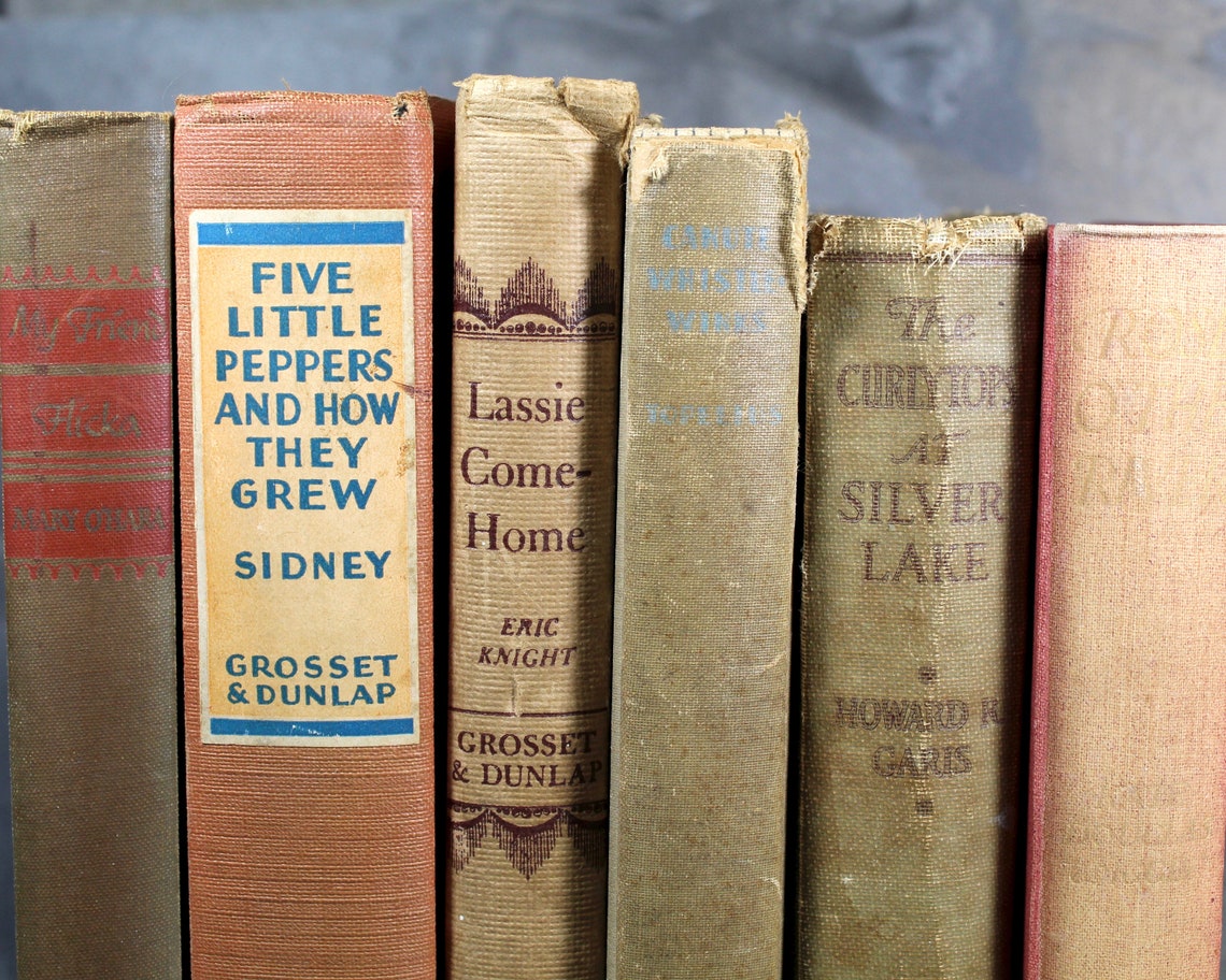 Antique Classic Novel Collection Set of 6 Novels From | Etsy