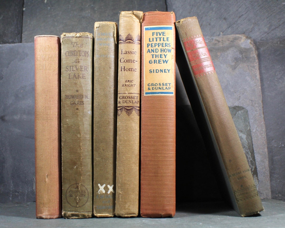 Antique Classic Novel Collection Set of 6 Novels From 1905-1941 Vintage ...