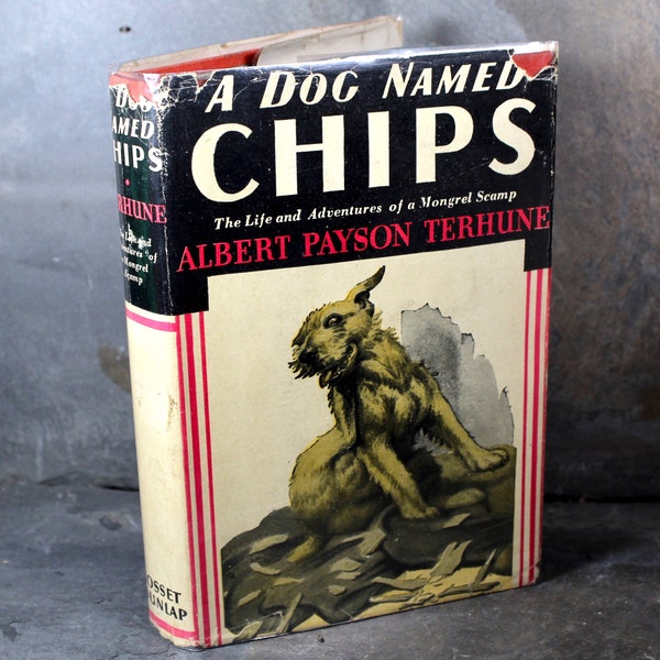 Albert Terhune - Etsy