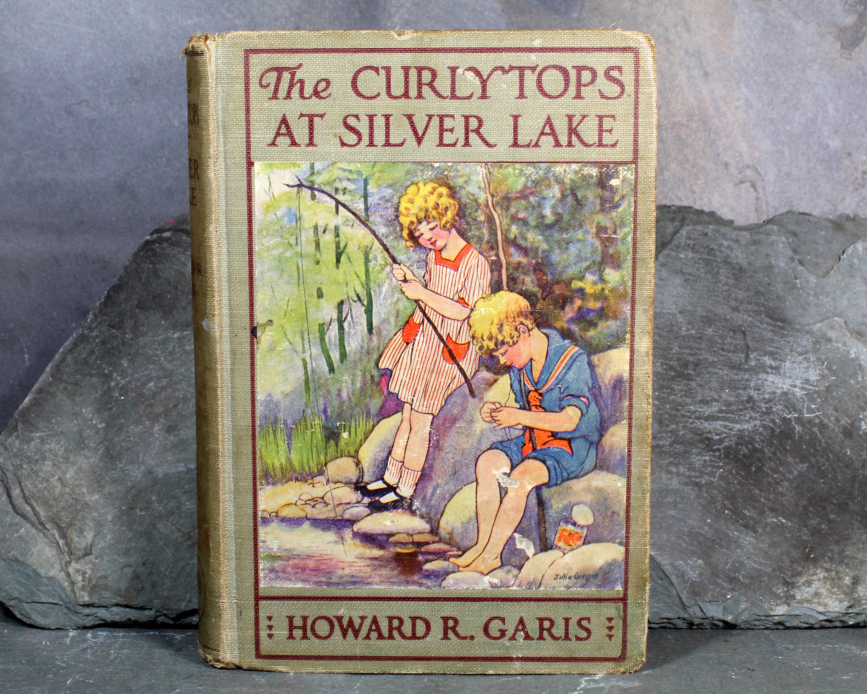 Antique Classic Novel Collection Set of 6 Novels From | Etsy