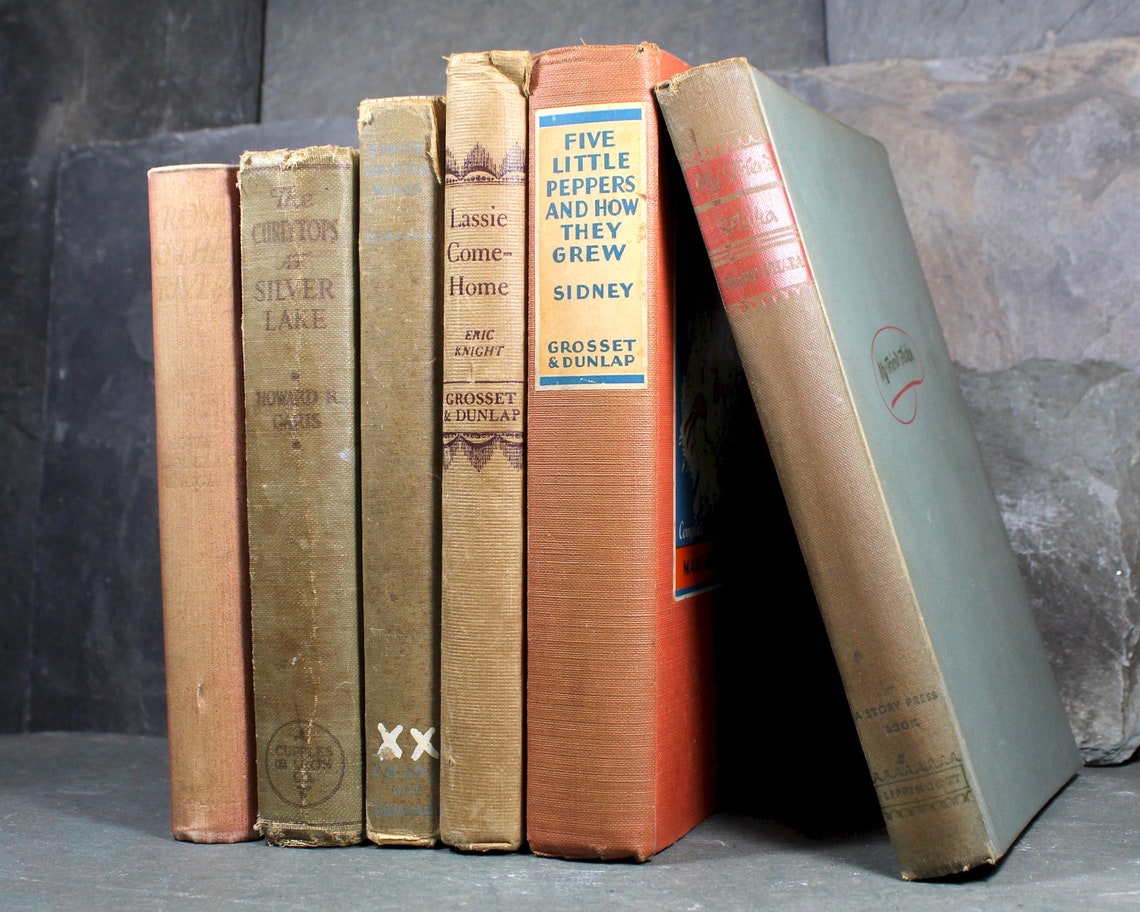 Antique Classic Novel Collection Set of 6 Novels From | Etsy