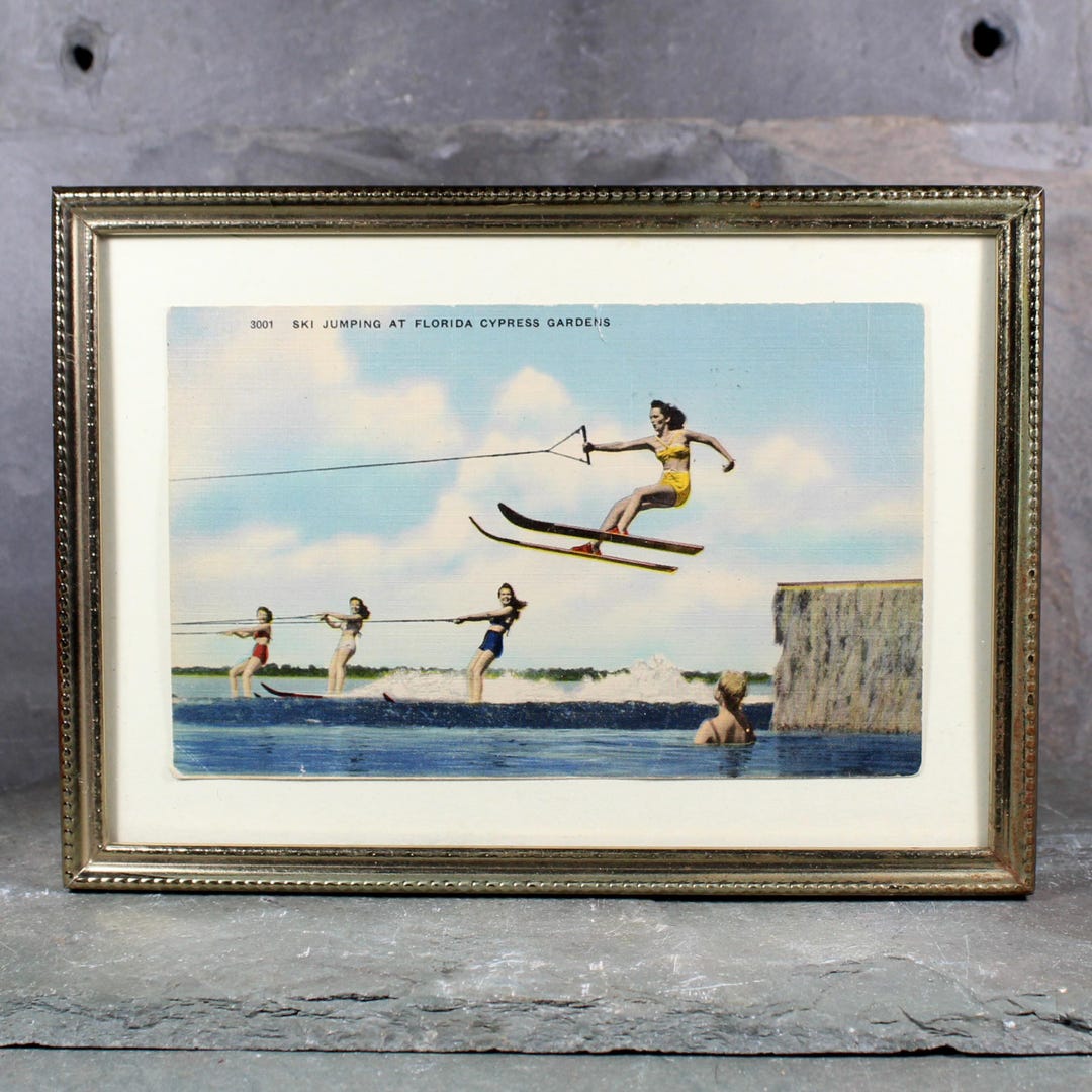 Cypress Gardens Postcard Mounted and Framed | Unused Vintage Postcard ...
