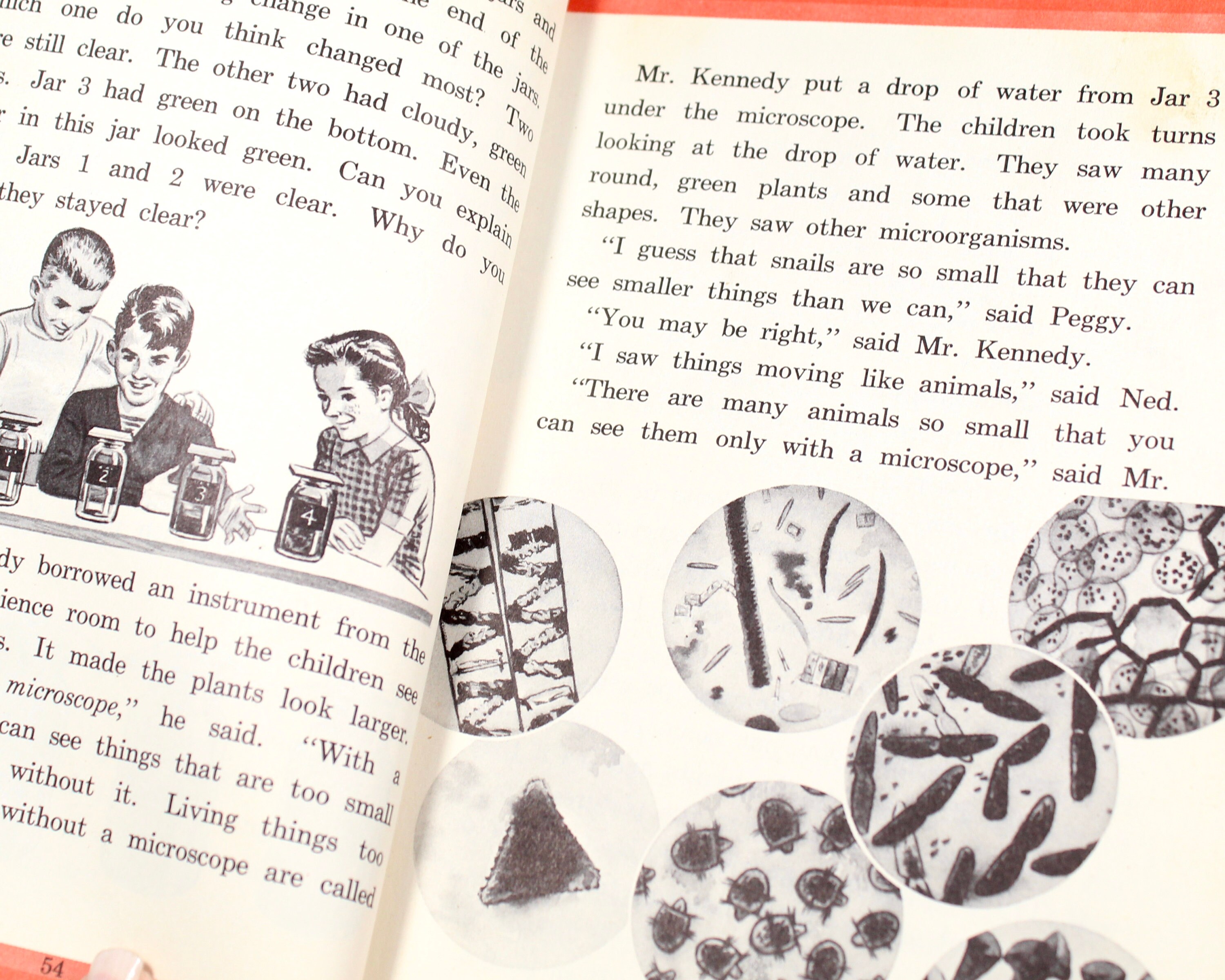 Exploring Together Vintage Science Text Book From 1955 - Etsy