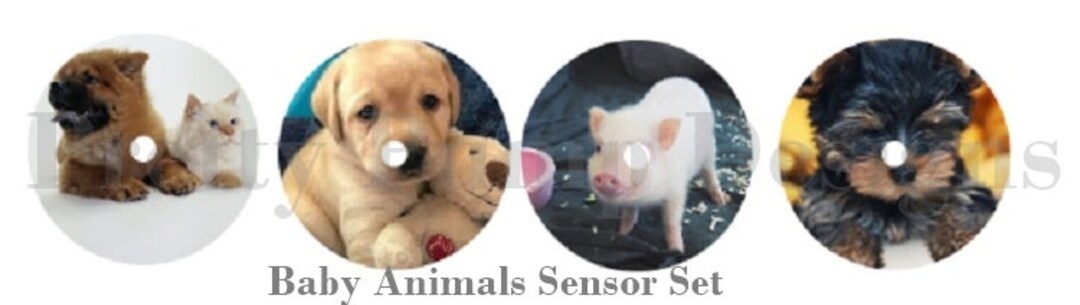 Freestyle Libre 1 and 2 Sensor Stickers Sets, Baby Animals, Birds ...