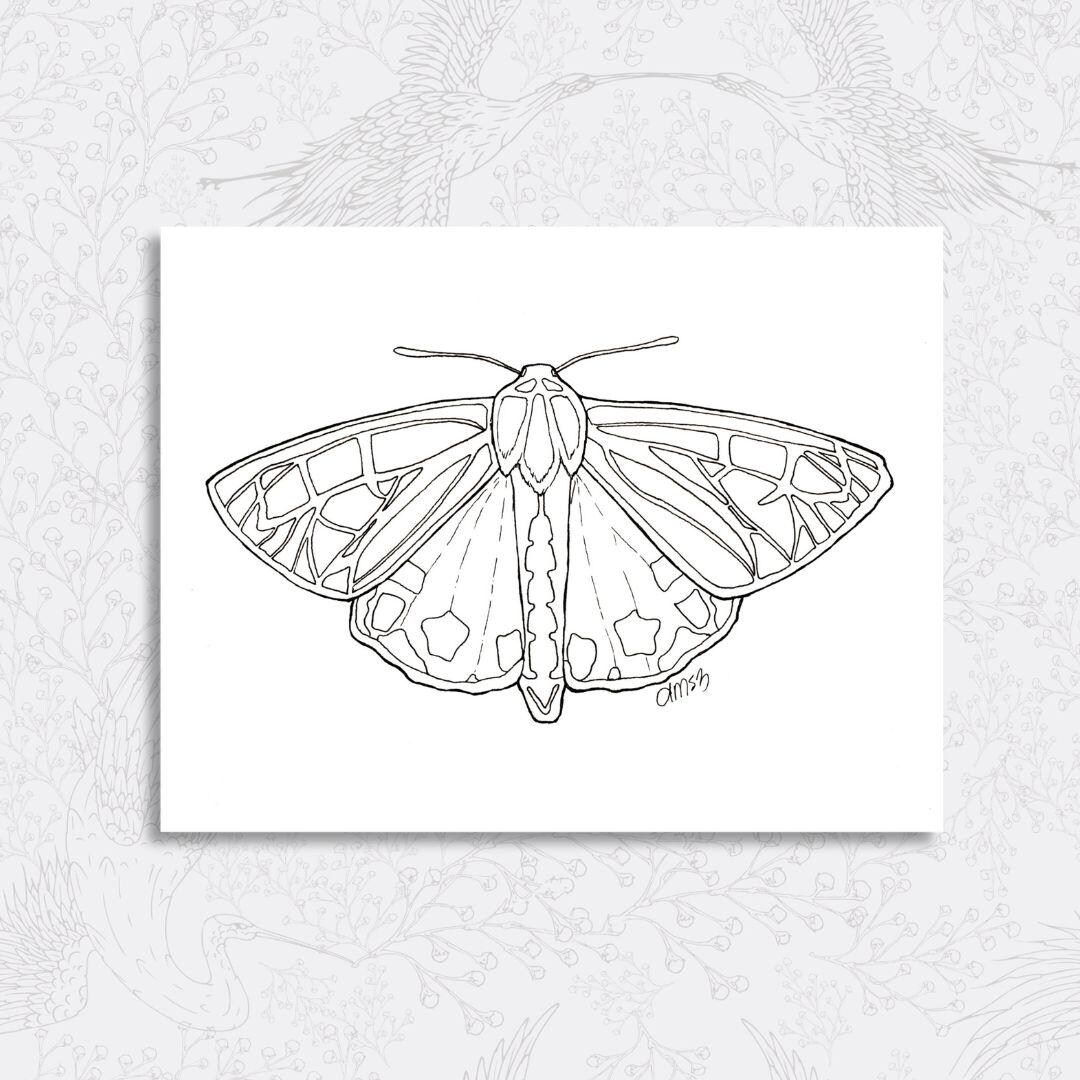 PRINTABLE Butterfly Hand-drawn Coloring Page - Etsy