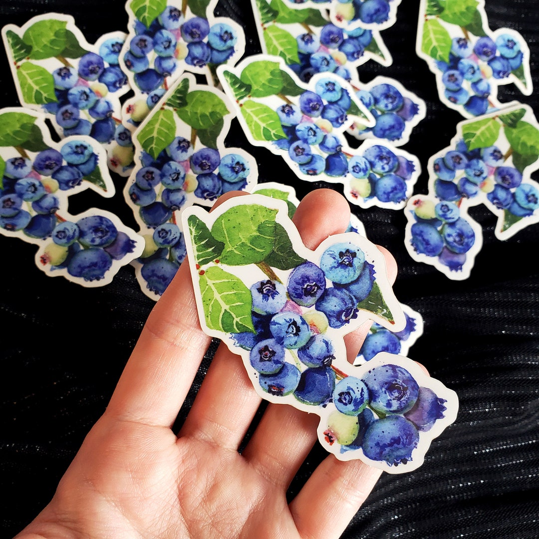 Blueberry Watercolor Clear Vinyl Sticker 3" - Etsy