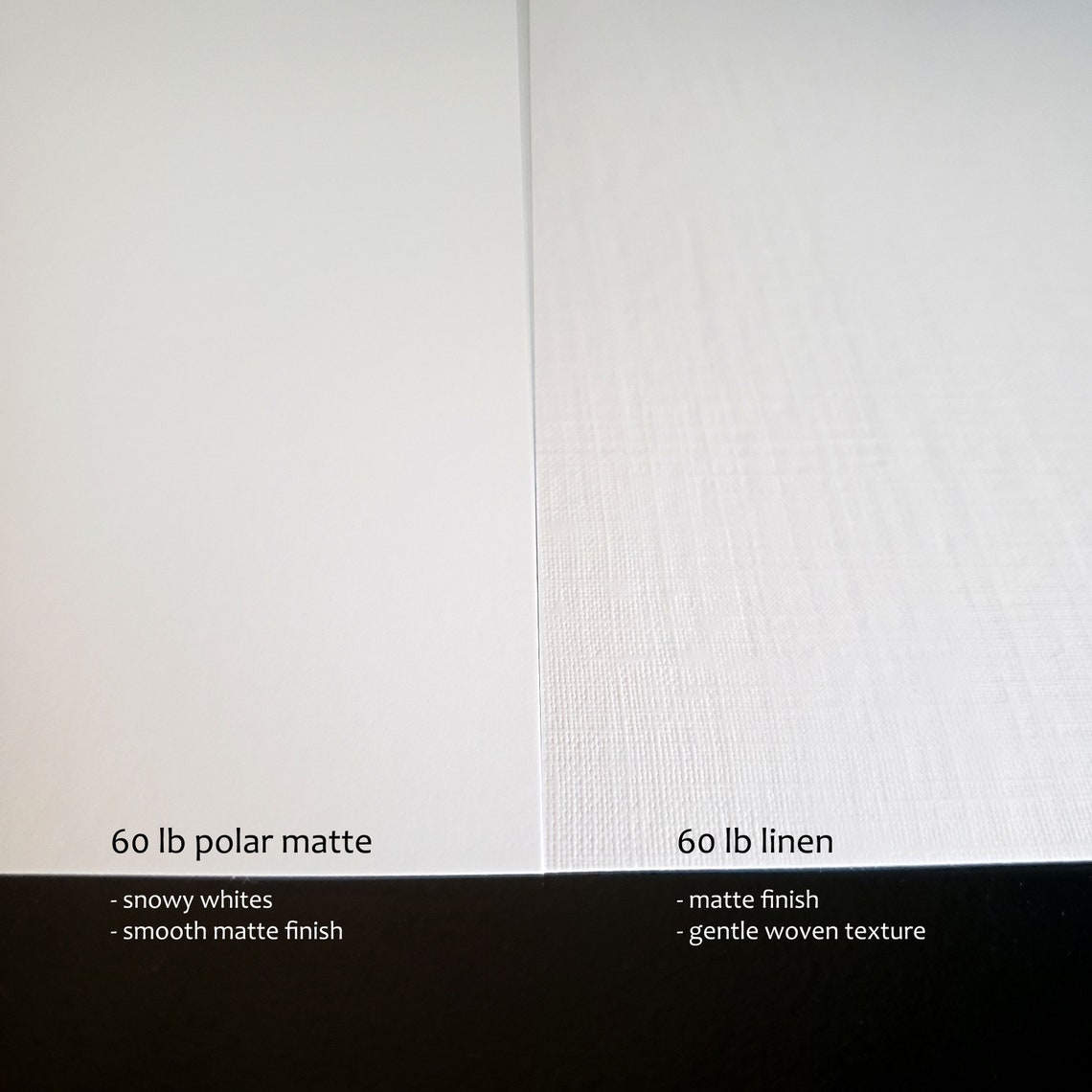 Viscid Violet Cort Mushroom Art Print Matte Paper High | Etsy