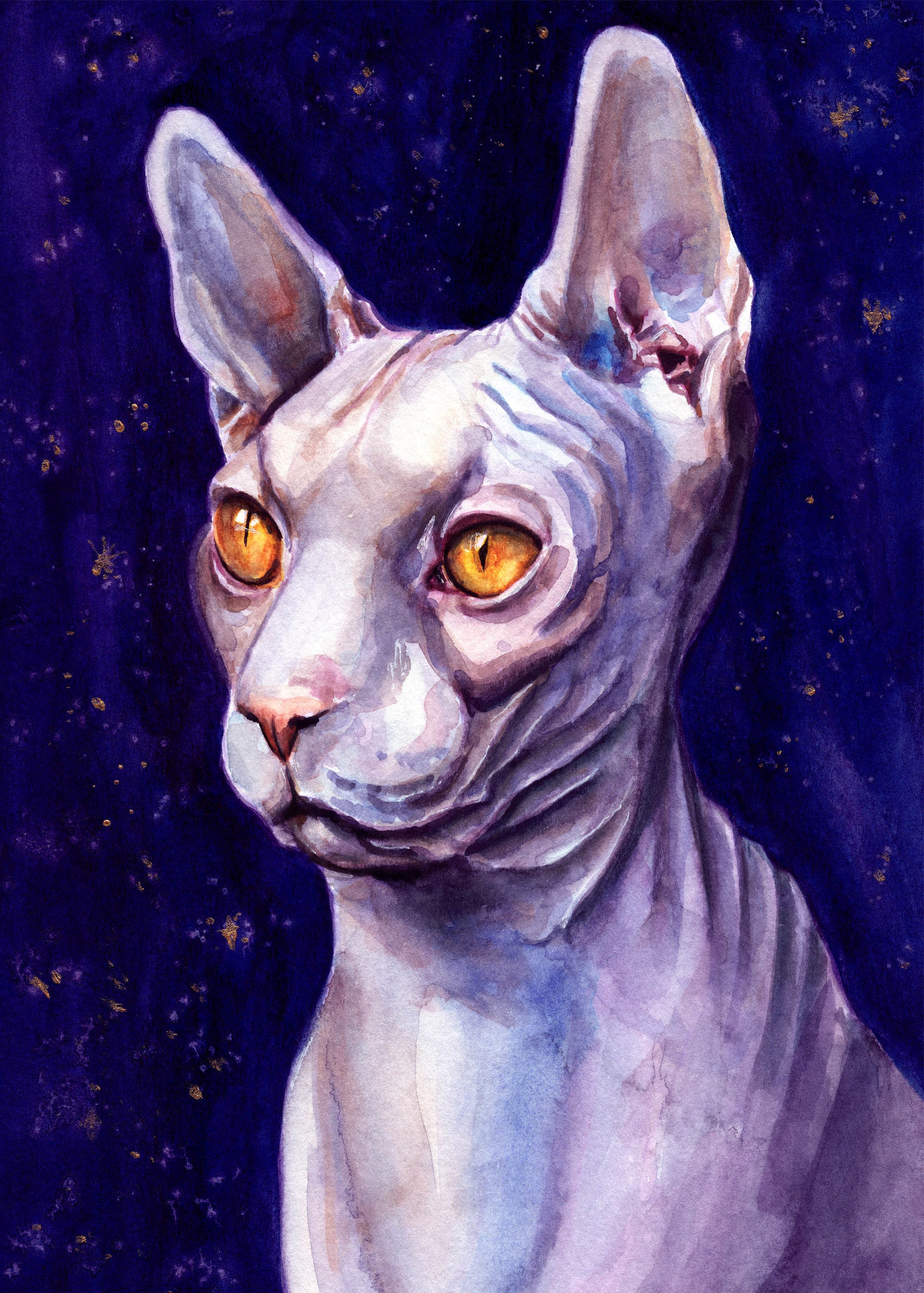 Sphynx Cat Art Print Matte or Linen Paper High Quality Print - Etsy