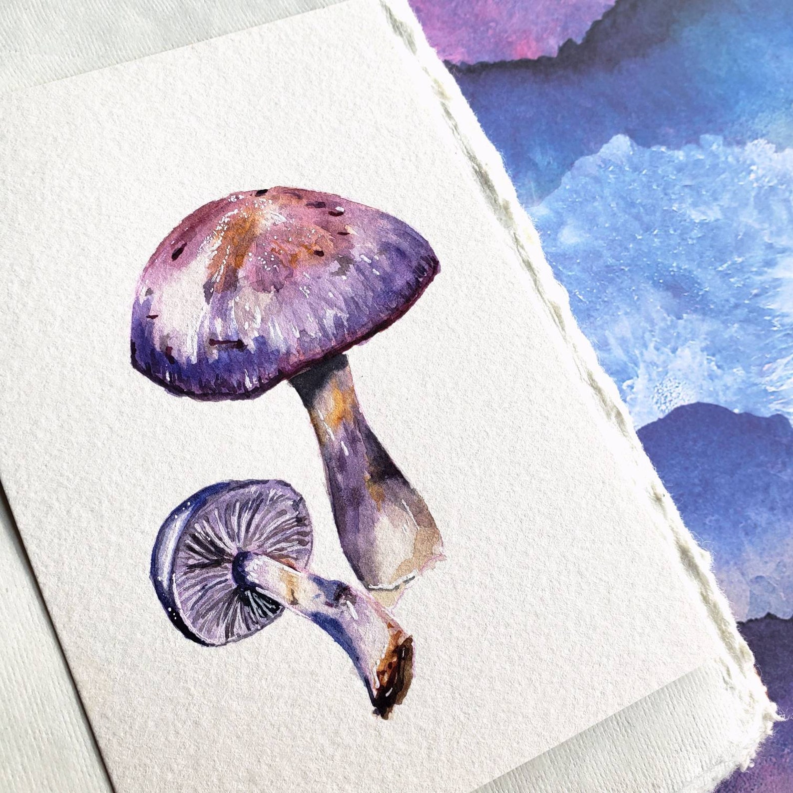 Viscid Violet Cort Mushroom Art Print Matte Paper High | Etsy