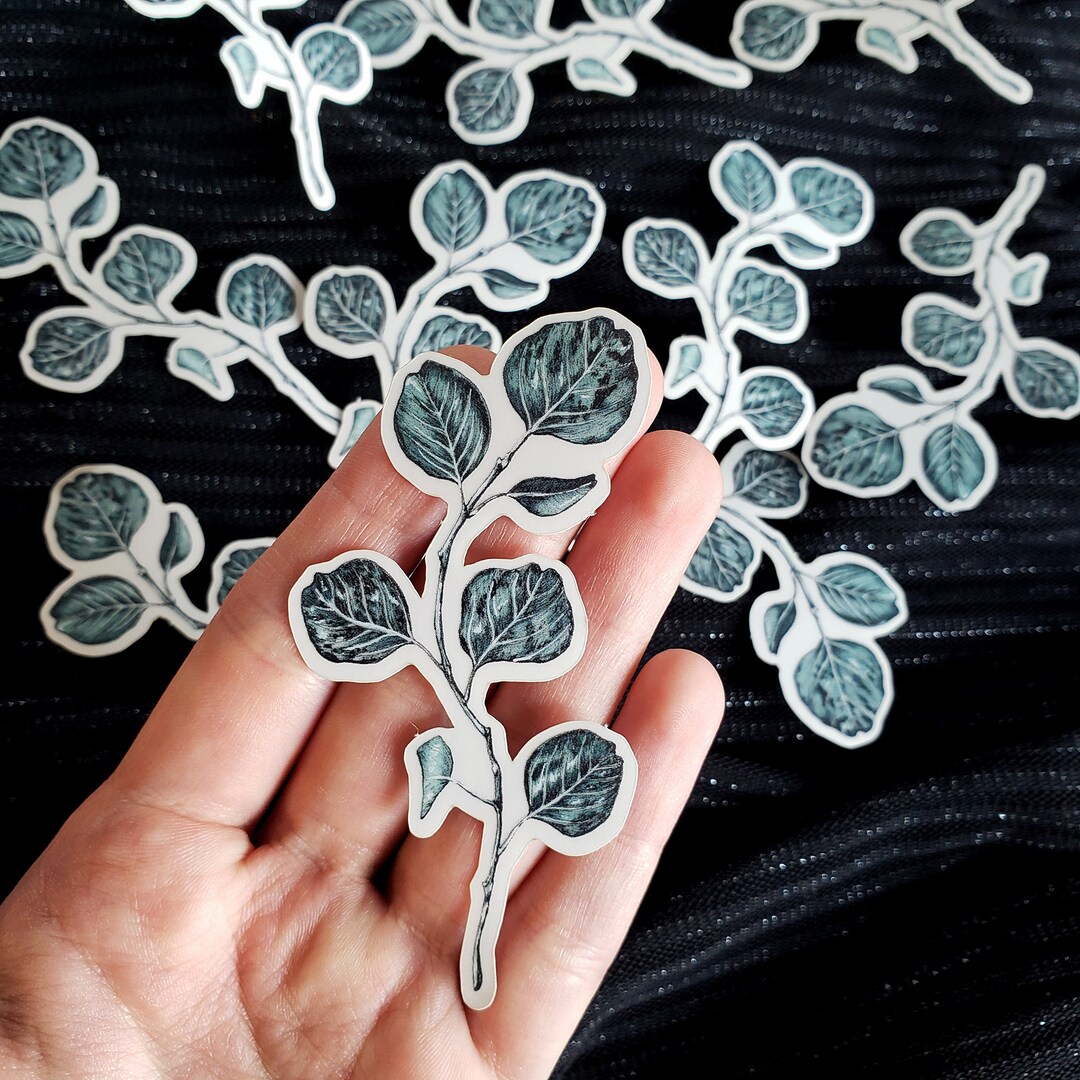 Eucalyptus Watercolor Clear Vinyl Sticker 3" - Etsy
