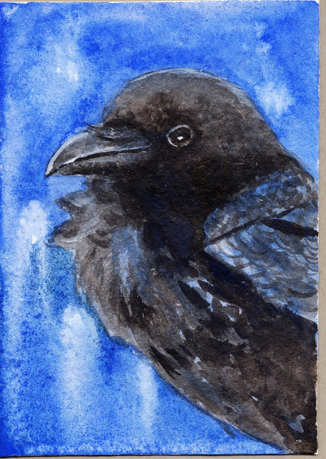 Raven Bird Original Ink and Watercolor Painting 5 X 7" - Etsy