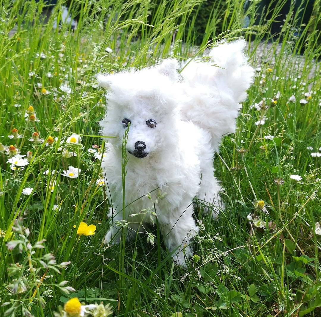 Waffle, the Eskie (knitting Pattern) - Etsy