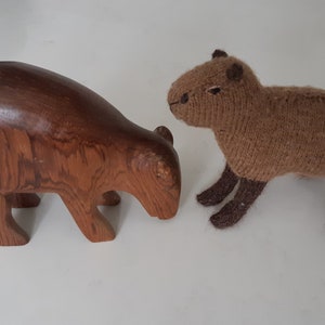 Capybara (knitting Pattern) - Etsy