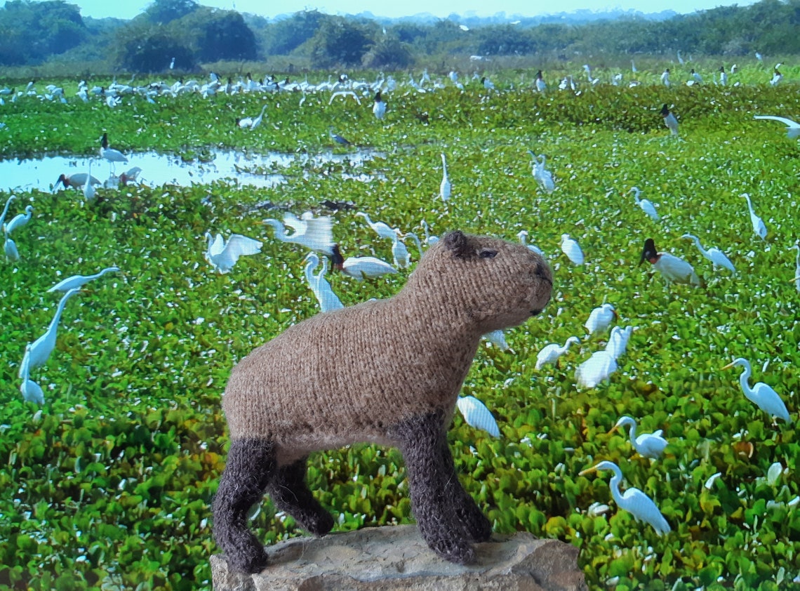 Capybara knitting Pattern | Etsy
