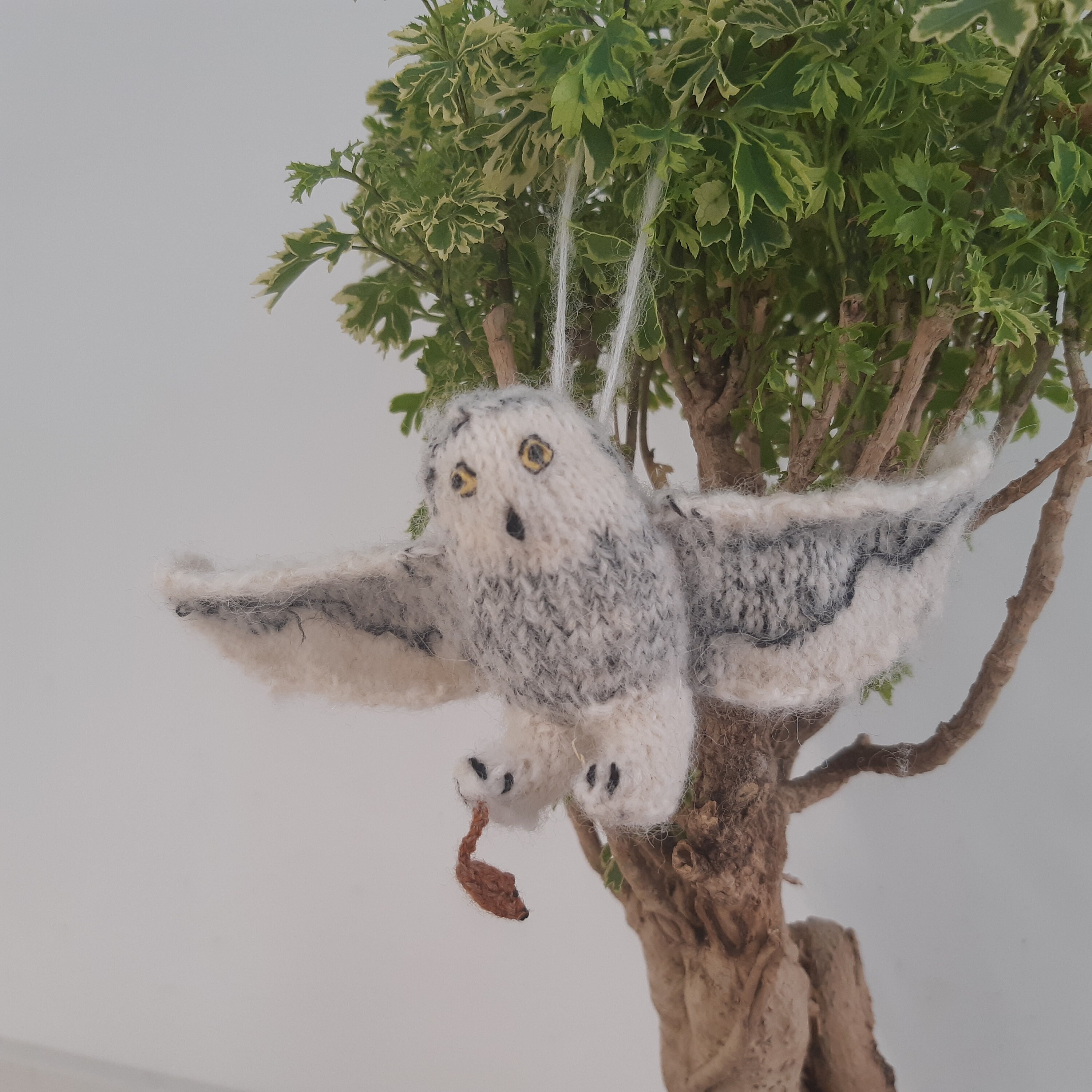 Owls (knitting Pattern) - Etsy