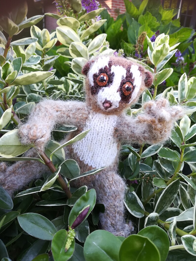 Slow Loris (knitting Pattern) - Etsy