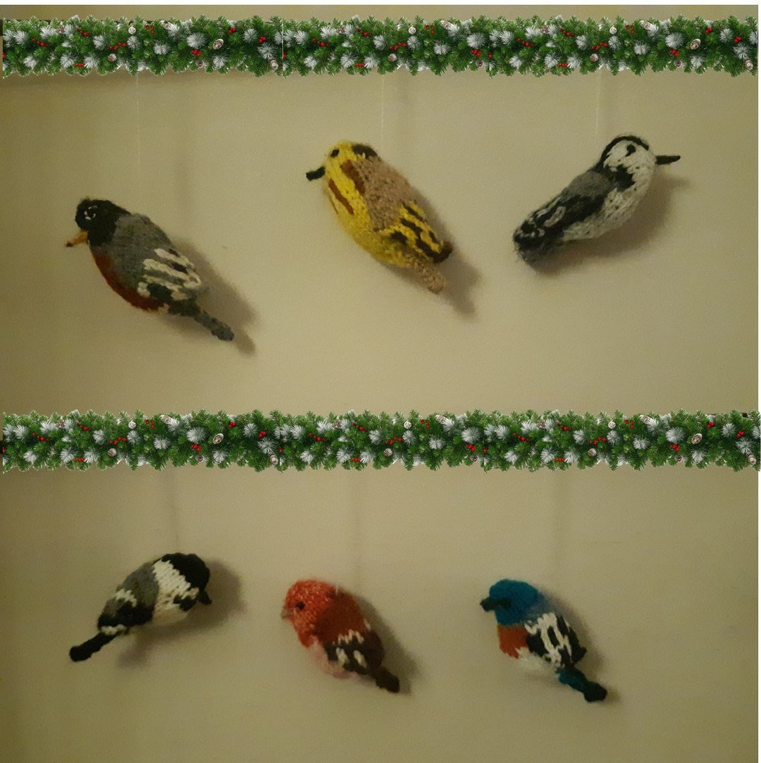 Backyard Birds (knitting Pattern) - Etsy