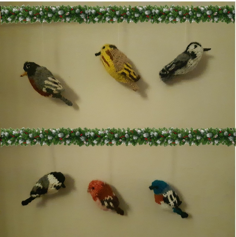 Backyard Birds (knitting Pattern) - Etsy